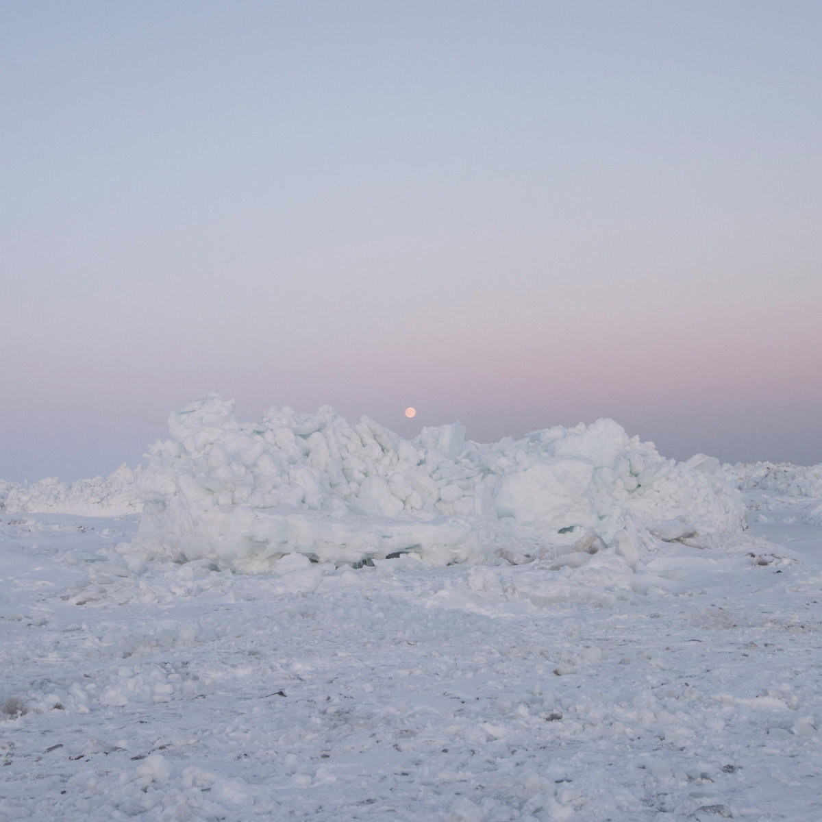 Tardy Album Review | billy woods – Terror Management – Focus Hip Hop