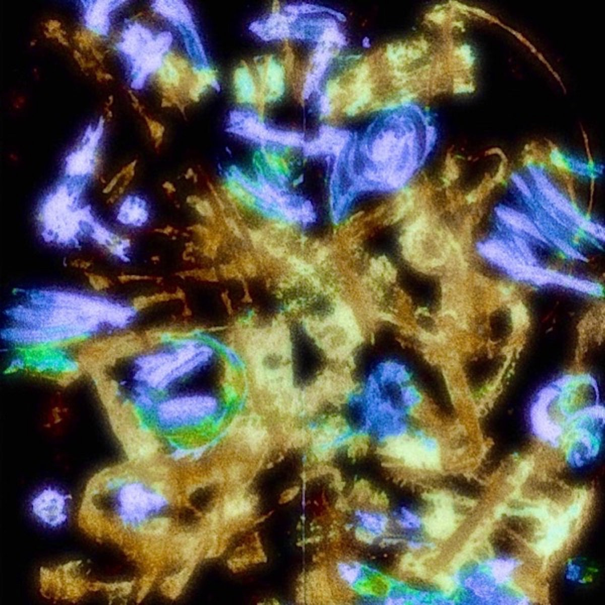 Album Review | Jay Cinema & Chow – Alchemy – Focus Hip Hop